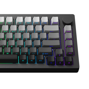 M1W V3 VIA - MonsGeek