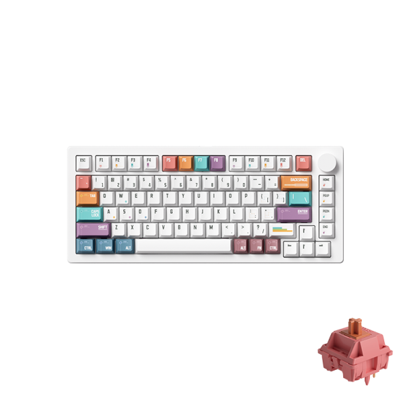 Keyboard Switches: From Linear to Magnetic – Discover Your Ideal Typing ...